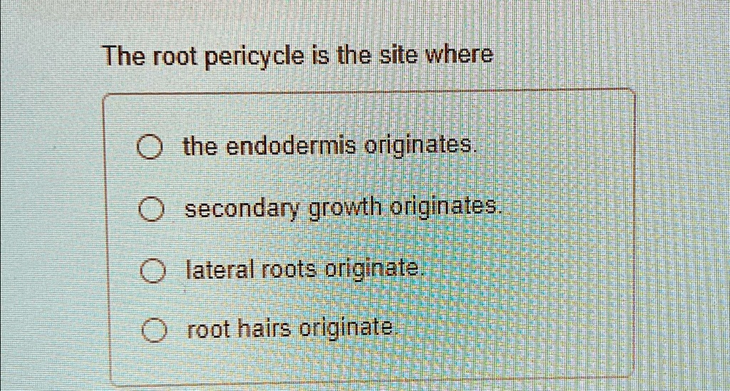 The root pericycle is the site where the endodermis originates ...