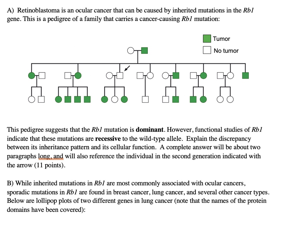 A) Retinoblastoma is an ocular cancer that can be caused by inherited ...