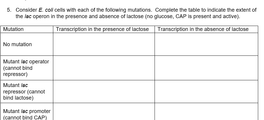 SOLVED: Consider E. coli cells with each of the following mutations ...