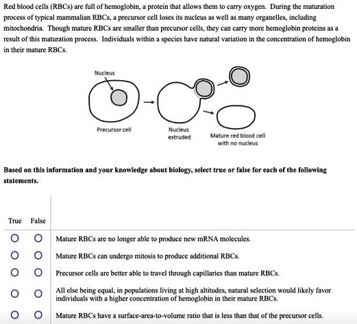 SOLVED: Red blood cells (RBCs) are full of hemoglobin, a protein that allows them to carry ...