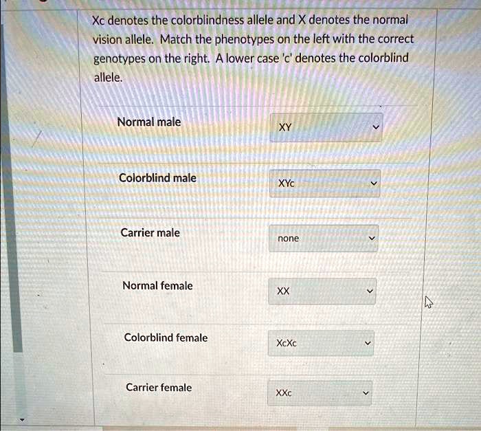 Xc denotes the colorblindness allele and X denotes the normal vision ...