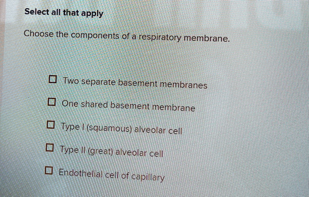 Select all that apply Choose the components of a respiratory membrane. Two separate basement ...