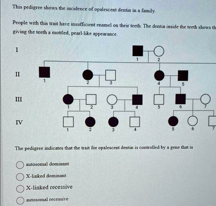 SOLVED: This pedigree shows the incidence of opalescent dentin in a ...