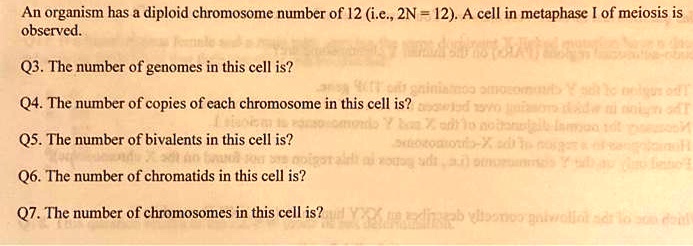SOLVED: An organism has a diploid chromosome number of 12 (i.e., 2N ...
