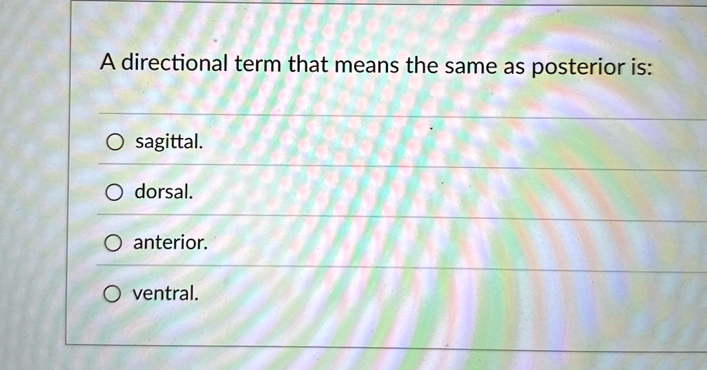 a directional term that means the same as posterior is o sagittal o ...