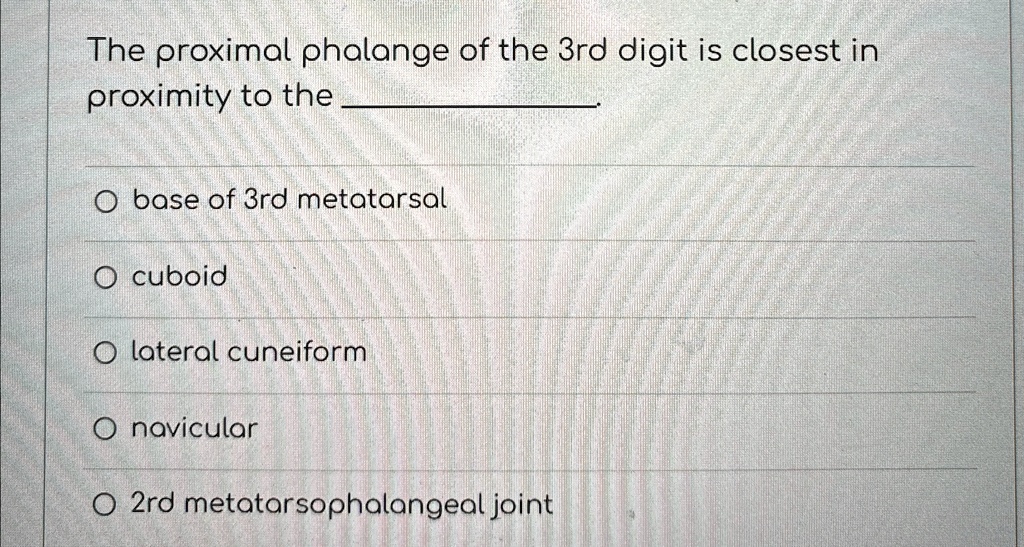 the proximal phalange of the 3rd digit is closest in proximity to the ...