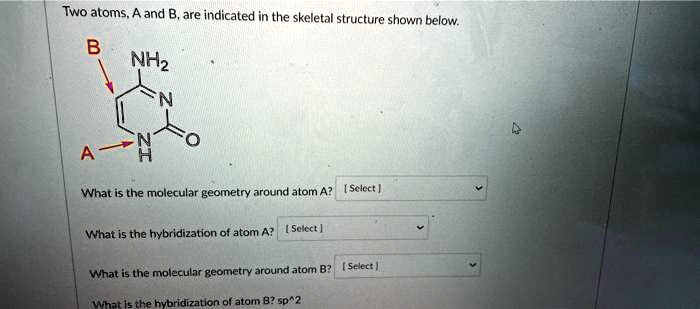 SOLVED: Two atoms, A and B, are indicated in the skeletal structure ...