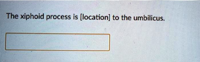 Solved The Xiphoid Process Is [location] To The Umbilicus