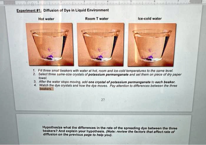 Experiment #1: Diffusion of Dye in Liquid Environment Hot water Room T water Ice-cold water 1 ...
