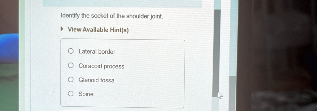 identify the socket of the shoulder joint view available hints lateral ...