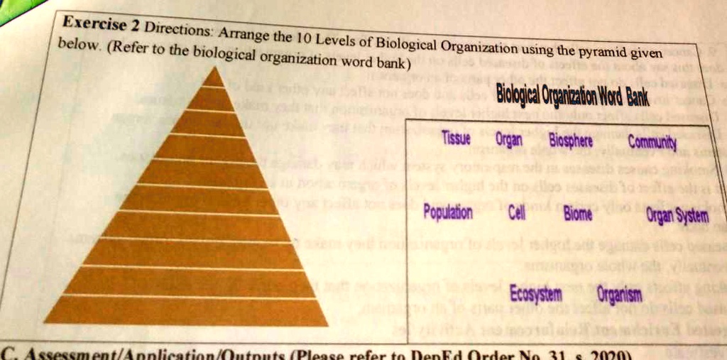 SOLVED: Exercise 2 Directions: Arrange the 10 Levels of Biological Organization using the ...