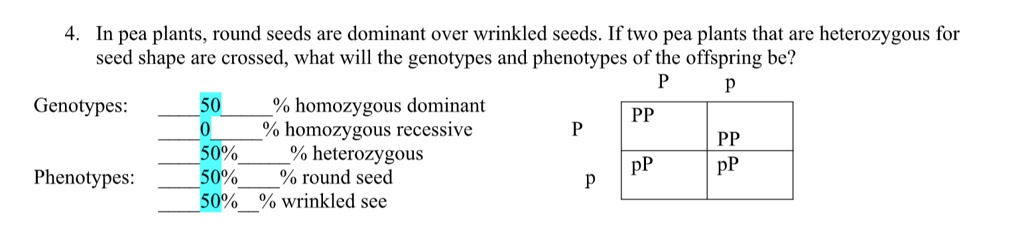 In pea plants, round seeds are dominant over wrinkled seeds. If two pea ...
