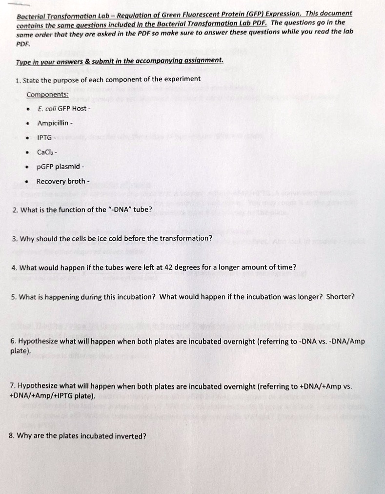 SOLVED: how do I do this? Bacterial Transformation Lab-Requlation of ...