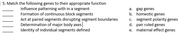 SOLVED: 5. Match the following genes to their ppropriate function Influence patterning with in ...