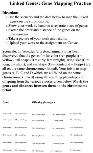 SOLVED:Linked Genes: Gene Mapping Practice Directions: Use the scenario ...