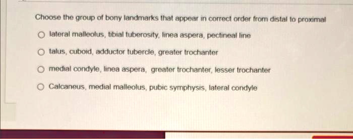 Choose the group of bony landmarks that appear in correct order from ...