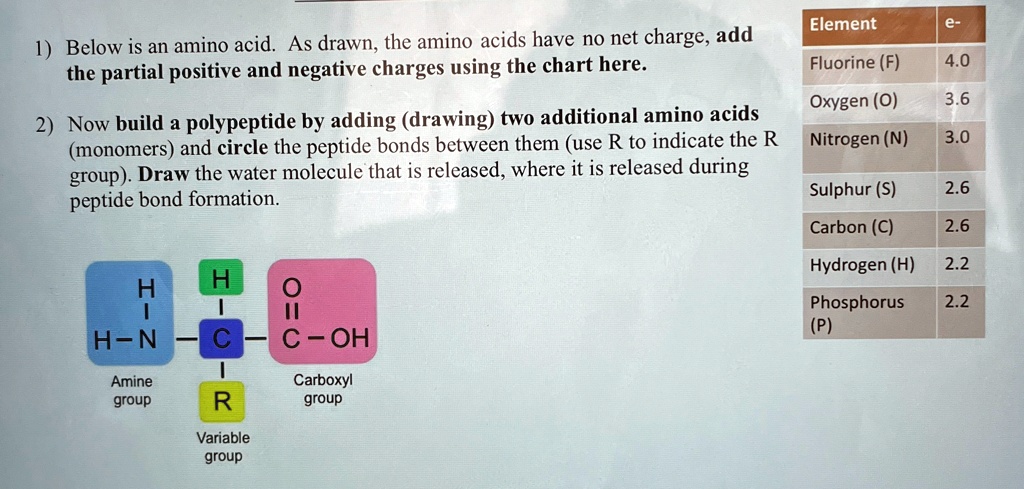 1 below is an amino acid as drawn the amino acids have no net charge ...