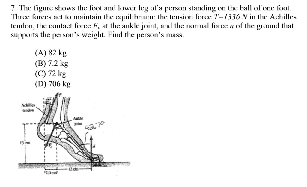 7 the figure shows the foot and lower leg of a person standing on the ...