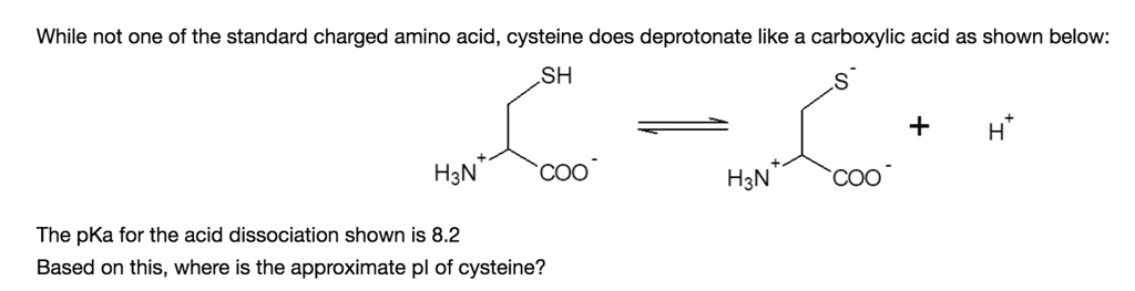 SOLVED: While not one of the standard charged amino acids, cysteine ...