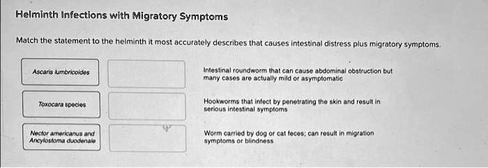 Helminth Infections with Migratory Symptoms Match the statement to the ...