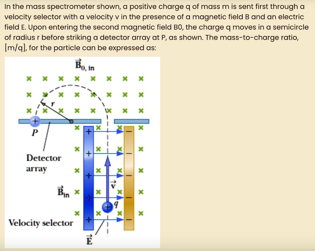 SOLVED: In the mass spectrometer shown; a positive charge q of mass m ...