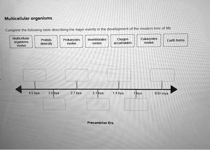 Multicellular organisms Complete the following table describing the ...