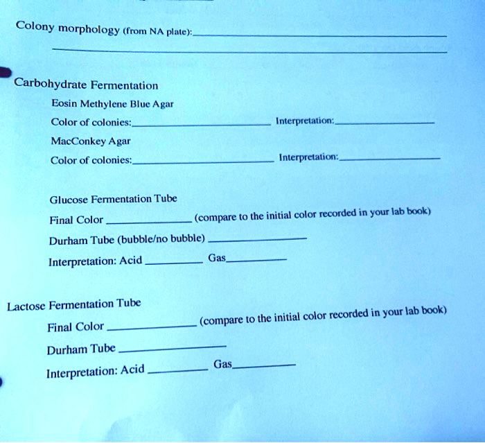 SOLVED: Colony morphology (from NA plate): Carbohydrate Fermentation ...