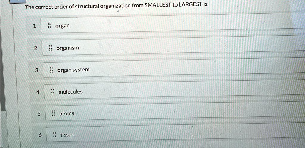 The correct order of structural organization from SMALLEST to LARGEST ...