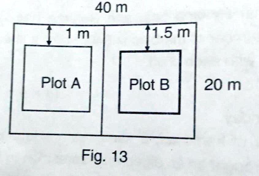 40 m 1 m 1.5 m Plot A Plot B 20 m Fig. 13