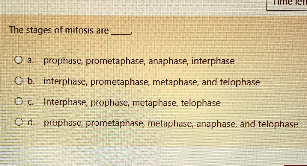 The stages of mitosis are a. prophase, prometaphase, anaphase ...