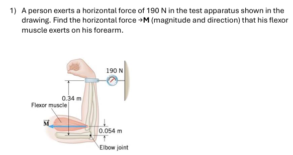 1) A person exerts a horizontal force of 190 N in the test apparatus ...