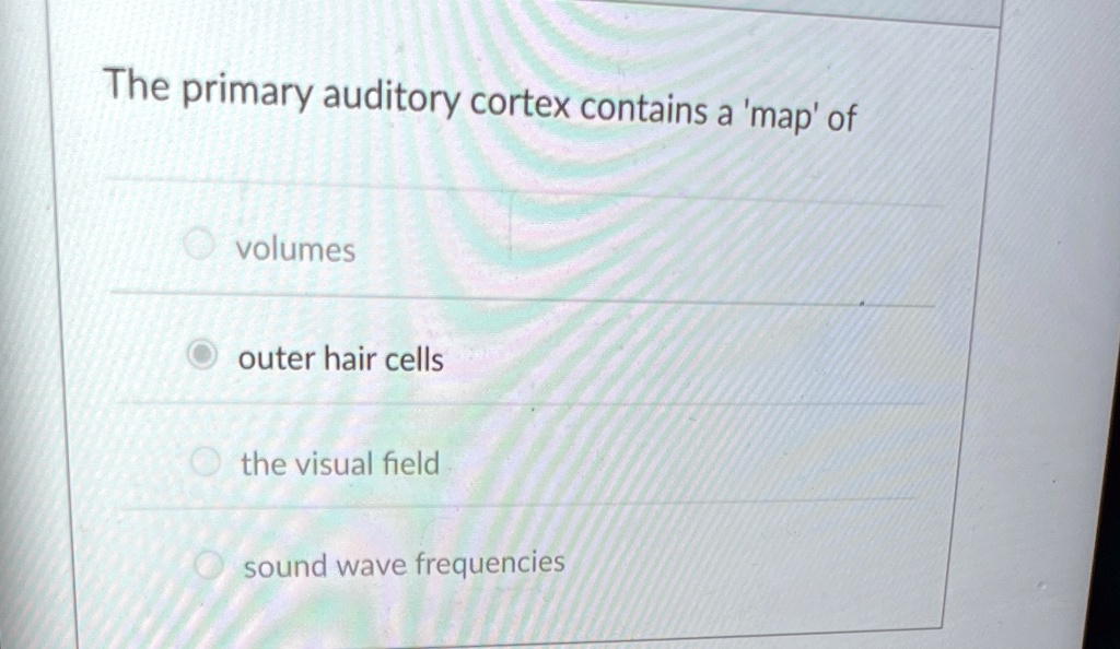 The primary auditory cortex contains a 'map' of volumes outer hair ...