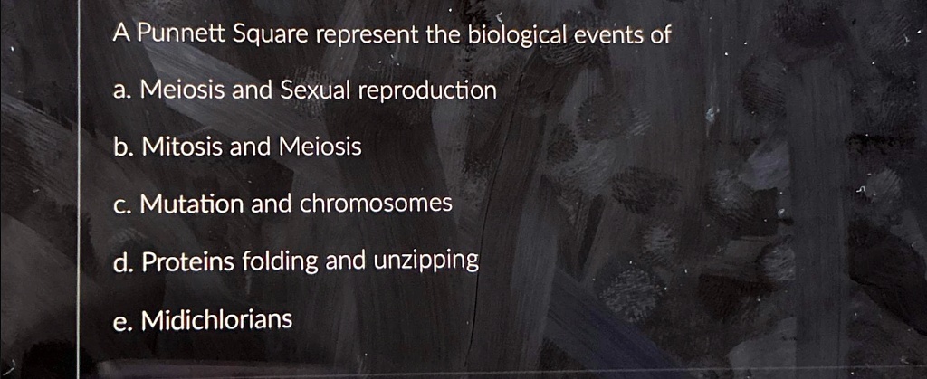 A Punnett Square represent the biological events of a. Meiosis and ...
