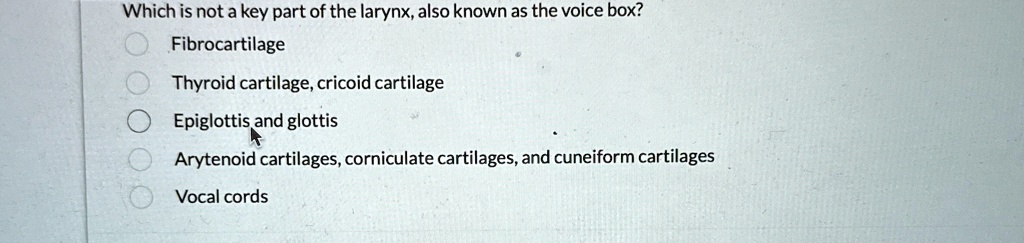 which is not a key part of the larynx also known as the voice box ...