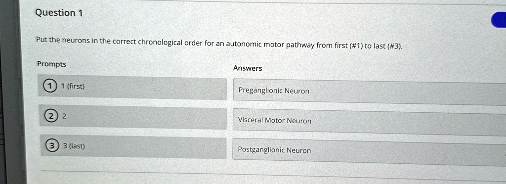 question 1 put the neurons in the correct chronological order for an ...