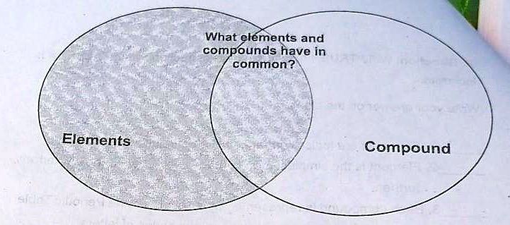 SOLVED: Activity 3 - Elements, Compounds: What's the Difference ...