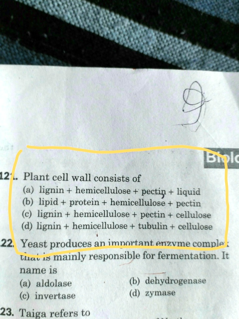 Give the right answer. Biology. 12. Plant cell wall consists of (a ...