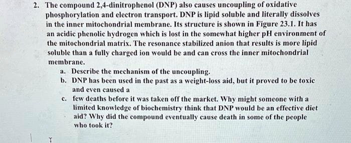 SOLVED:The compound 2.4-dinitrophenol (DNP) also causes uncoupling of ...