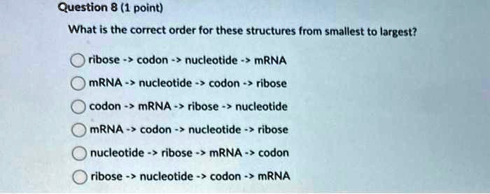 SOLVED: 8 Question 8(1 point) What is the correct order for these structures from smallest to ...