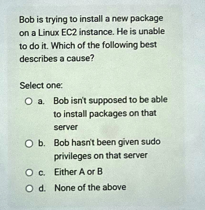 SOLVED: Bob is trying to install a new package on a Linux EC2 instance ...