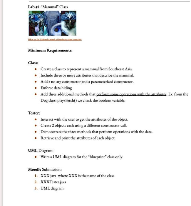 SOLVED: Texts: Lab #1 "Mammal" Class Minimum Requirements: Class ...