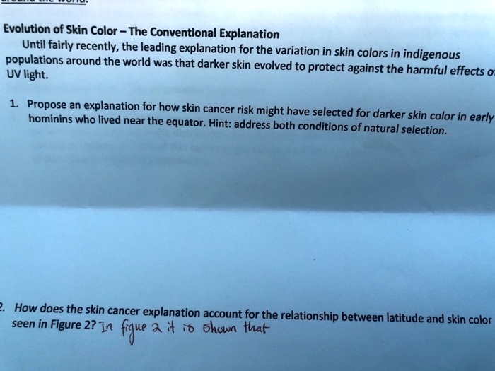 Evolution of Skin Color: The Conventional Explanation Until fairly ...