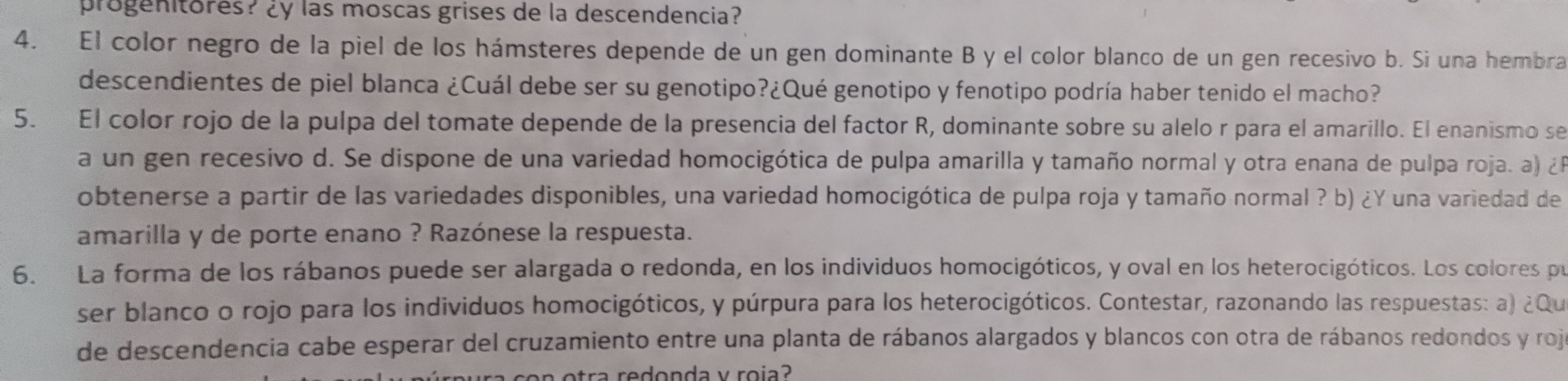 4. El color negro de la piel de los hámsteres depende de un gen ...