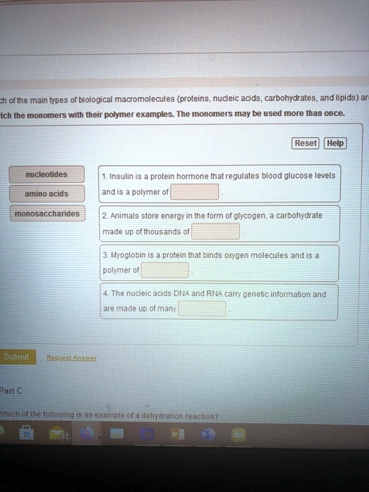 Ch of the main types of biological macromolecules (proteins, nucleic ...