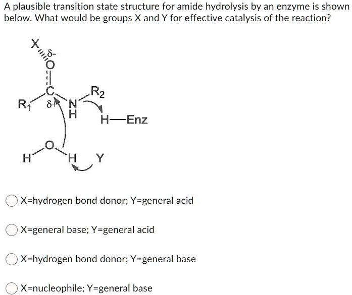A plausible transition state structure for amide hydrolysis by an ...