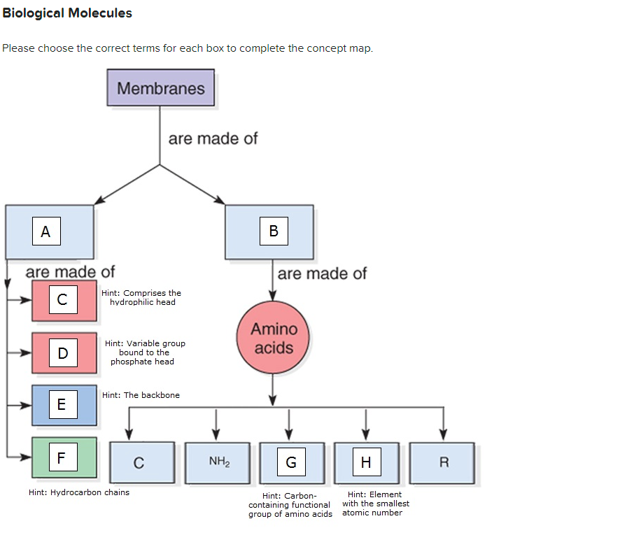 SOLVED: Biological Molecules Please choose the correct terms for each ... SOLVED: Biological Molecules Please choose the correct terms for each ...