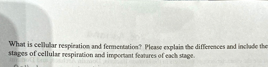 What is cellular respiration and fermentation? Please explain the differences and include the ...