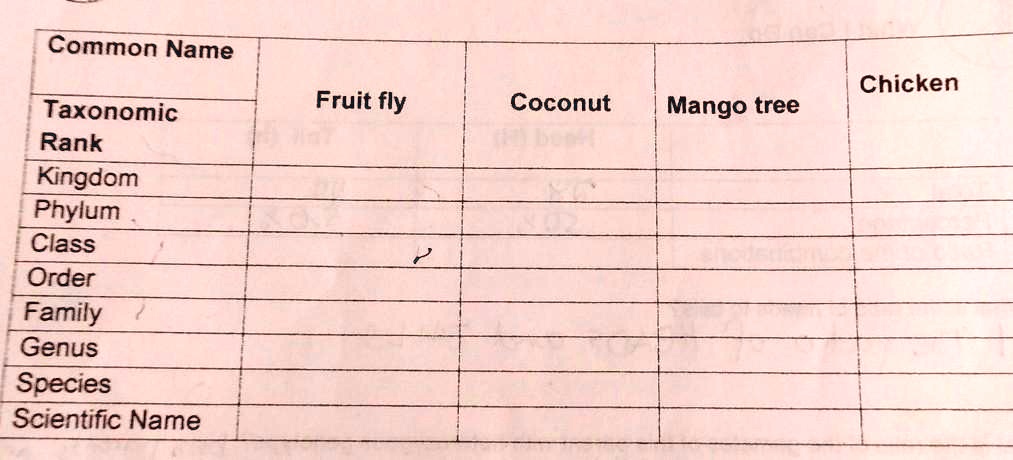 Common Name Taxonomic Rank Kingdom Phylum Class Order Family Genus ...