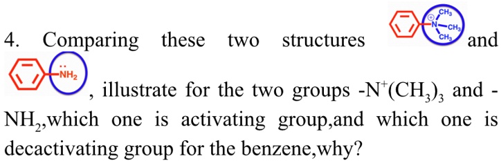 4. Comparing these two structures and , illustrate for the two groups ...