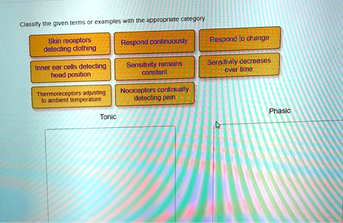 Classify the given terms or examples with the appropriate category. Skin receptors detecting ...